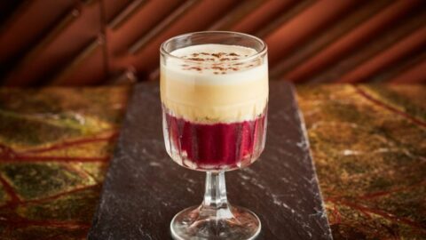 SW Coconut & Raspberry Cake Bites - Dieter24